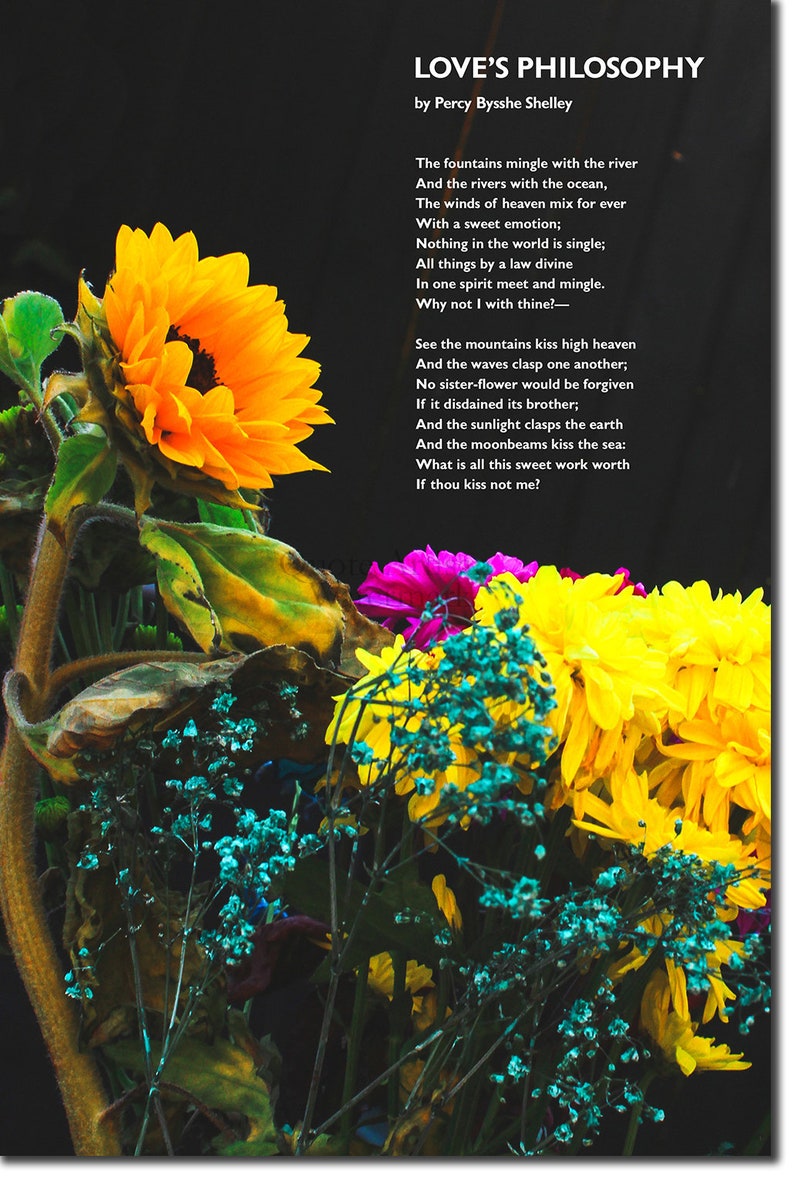 Love's Philosophy Poem by Percy Bysshe Shelley Art | Etsy
