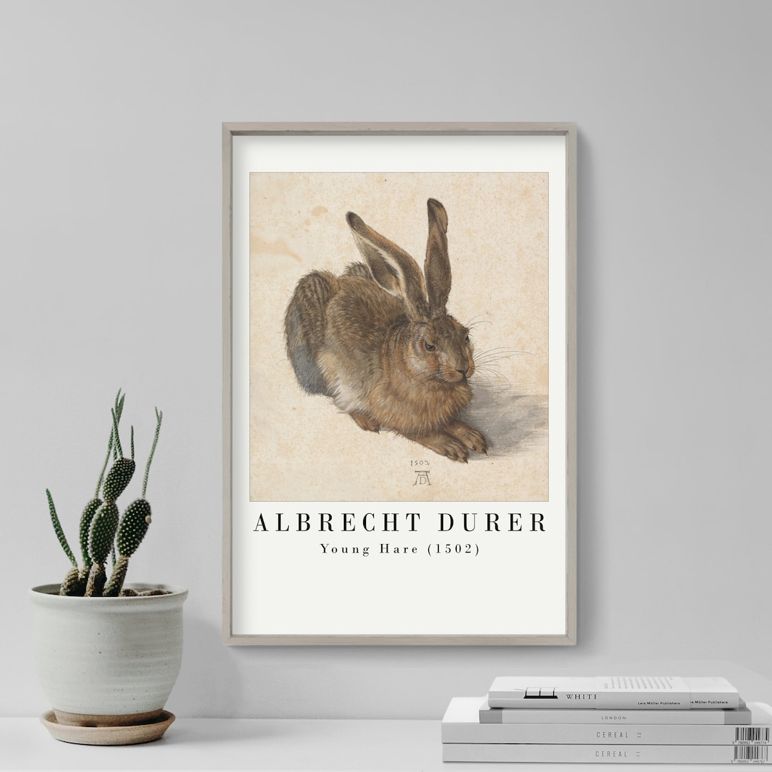 Albrecht Durer - Young Hare (1502) Gallery - Classic Painting Photo ...
