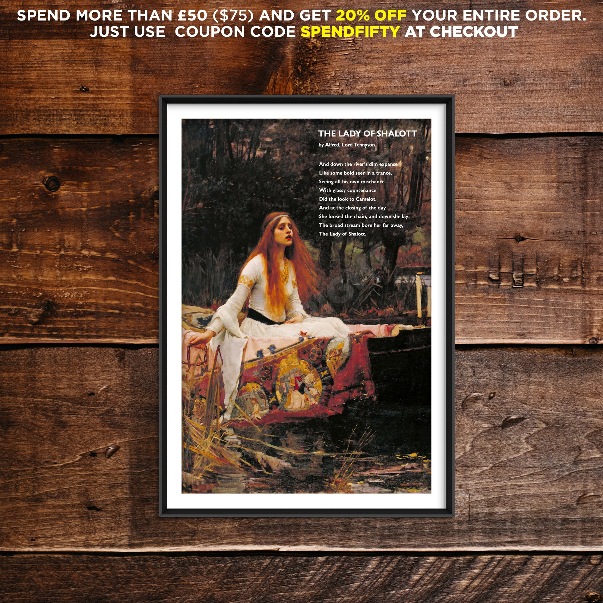 The Lady Of Shalott Poem