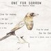 One for Sorrow Original Art Print the Magpie Song Poem 12x8 Inch Photo ...