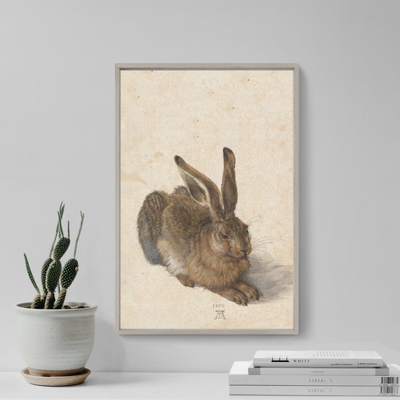 Albrecht Durer Young Hare