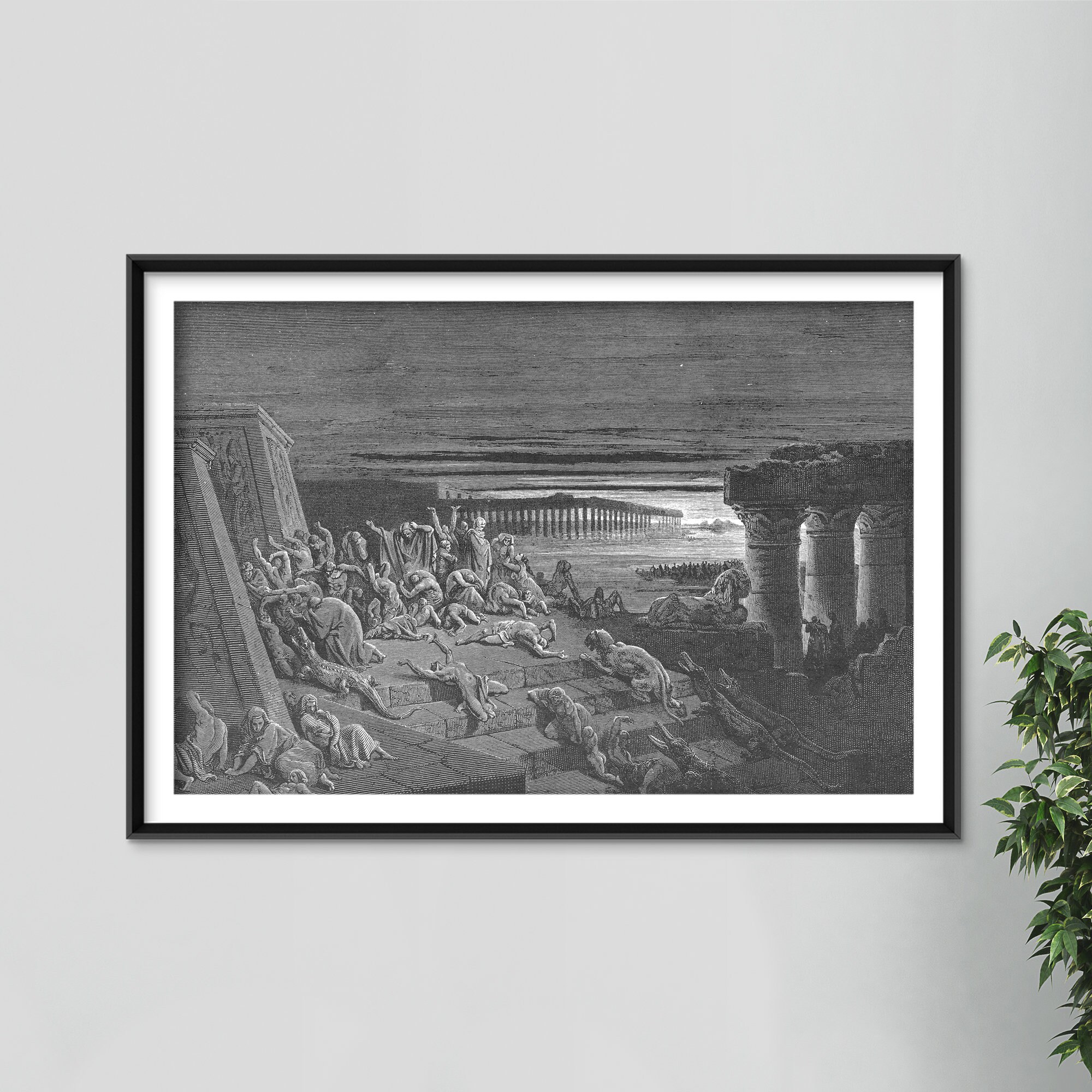 The Ninth Plague