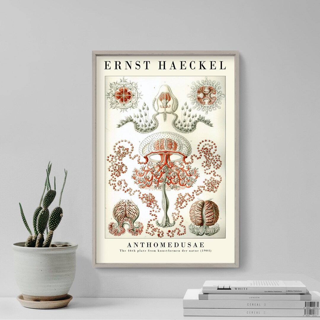 Ernst Haeckel Gallery Poster - Anthomedusae - Plate 46 - Art Forms in ...