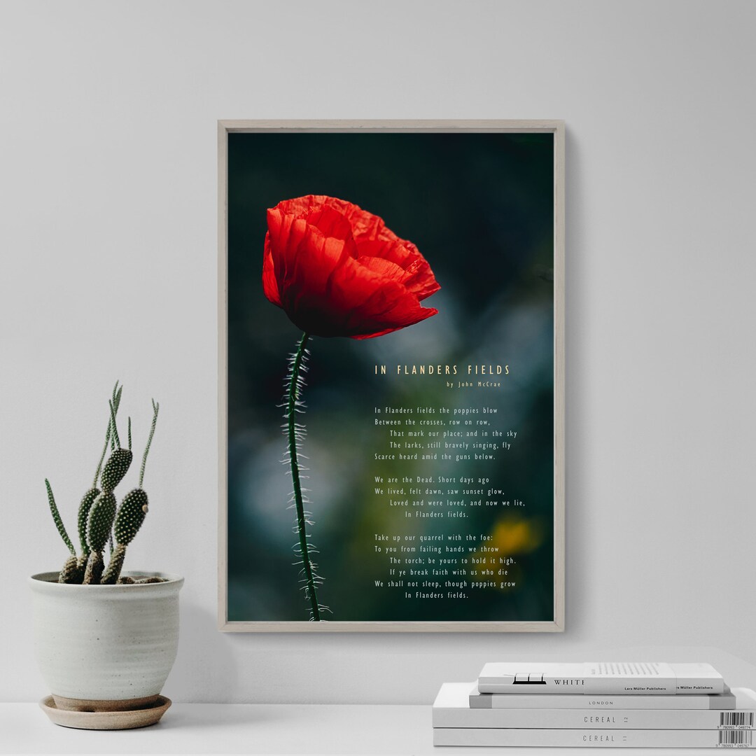 John Mccrae Poem - in Flanders Fields - A Single Red Poppy - Poster ...