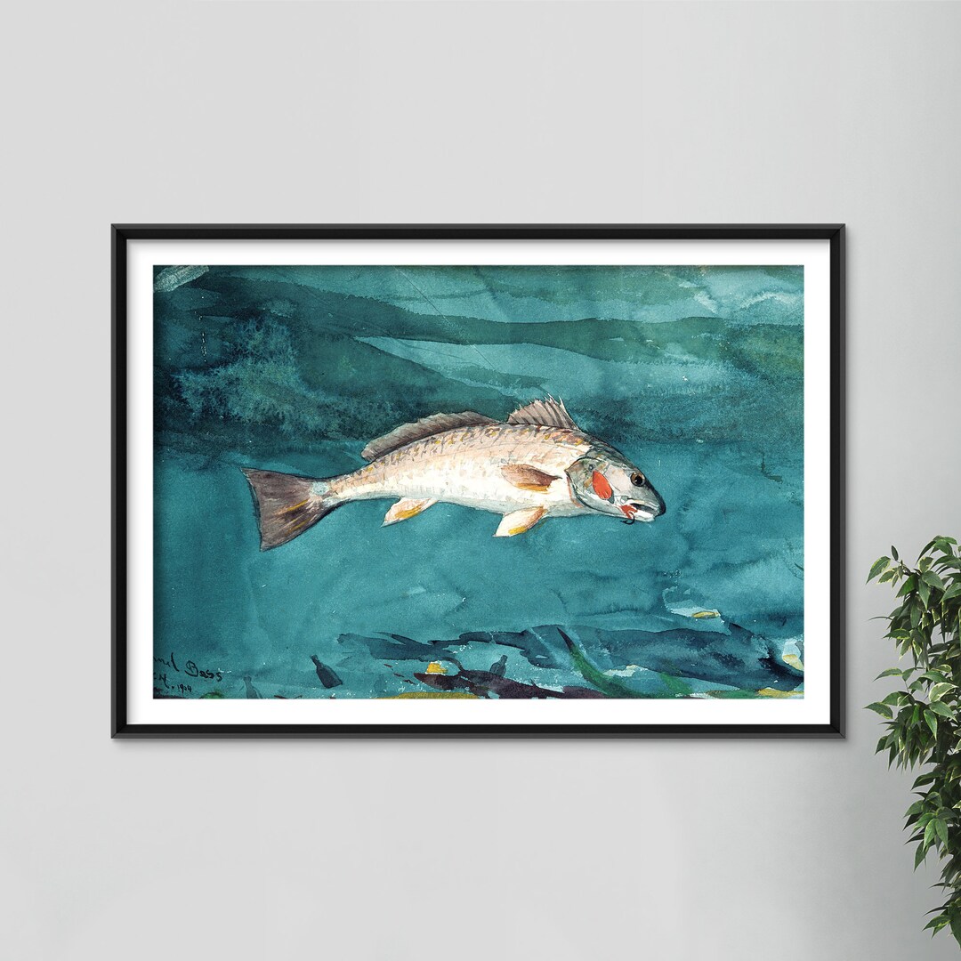 Winslow Homer - Channel Bass (1904) - Classic Painting Photo Poster ...