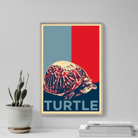 Turtle Original Art Print Photo Poster Gift Home Wall Decor | Etsy
