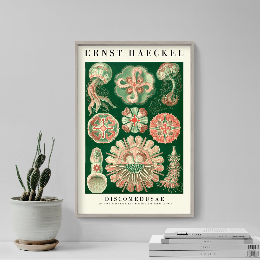 Ernst Haeckel Gallery Poster - Discomedusae - Plate 98 - Art Forms in ...