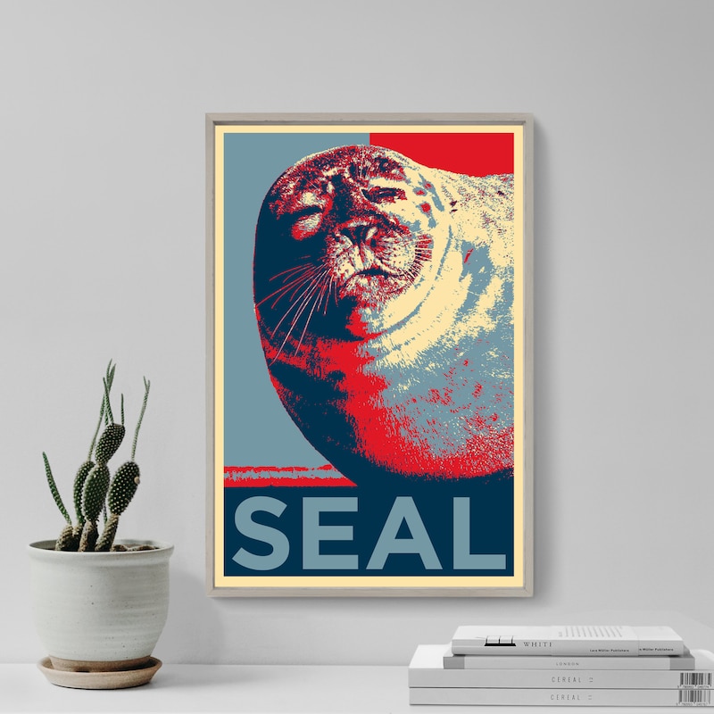 Seal Poster - Etsy