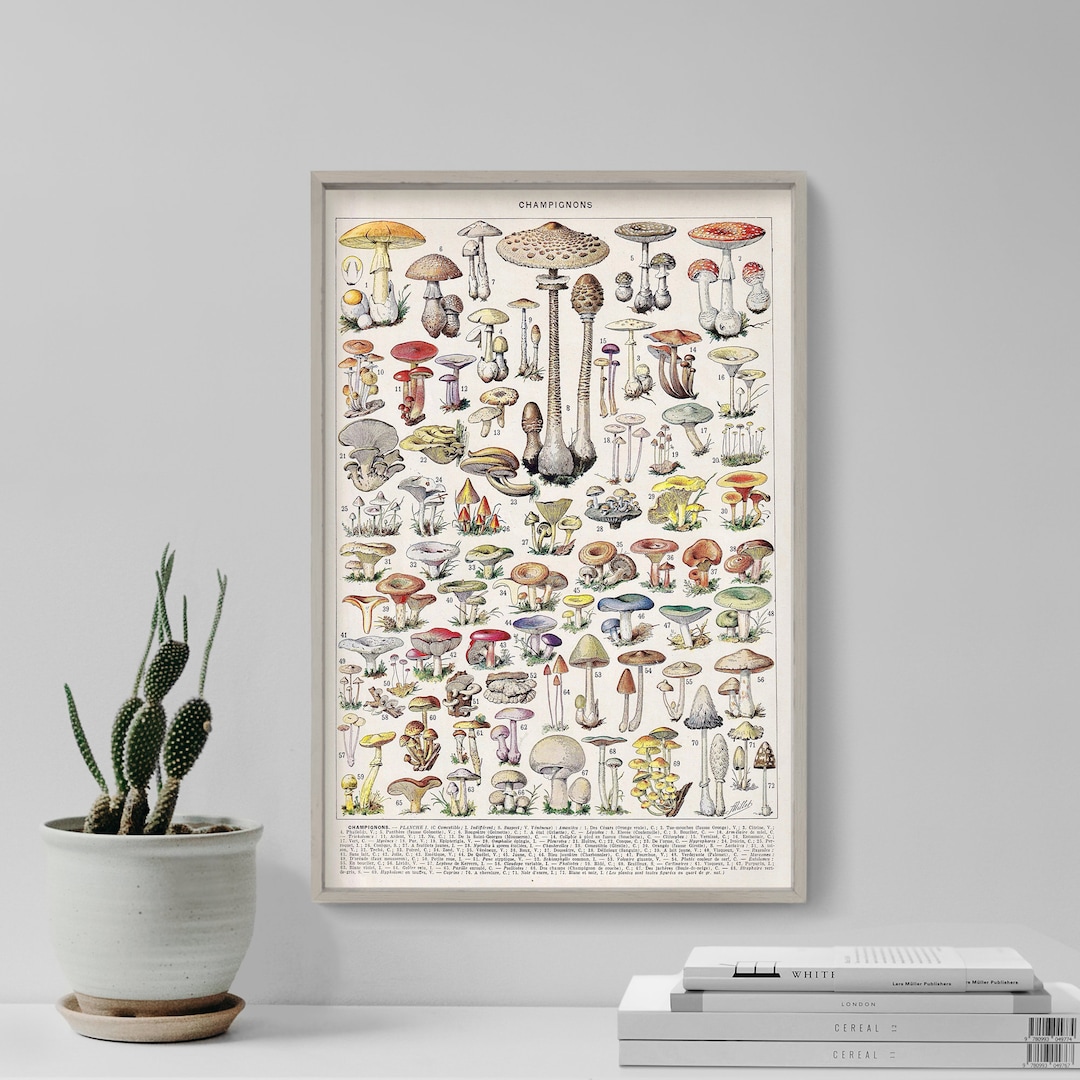 Adolphe Philippe Millot Art Print - Types of Mushrooms Illustration 2 ...