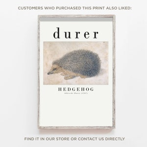 Albrecht Durer - Young Hare (1502) Gallery - Classic Painting Photo ...