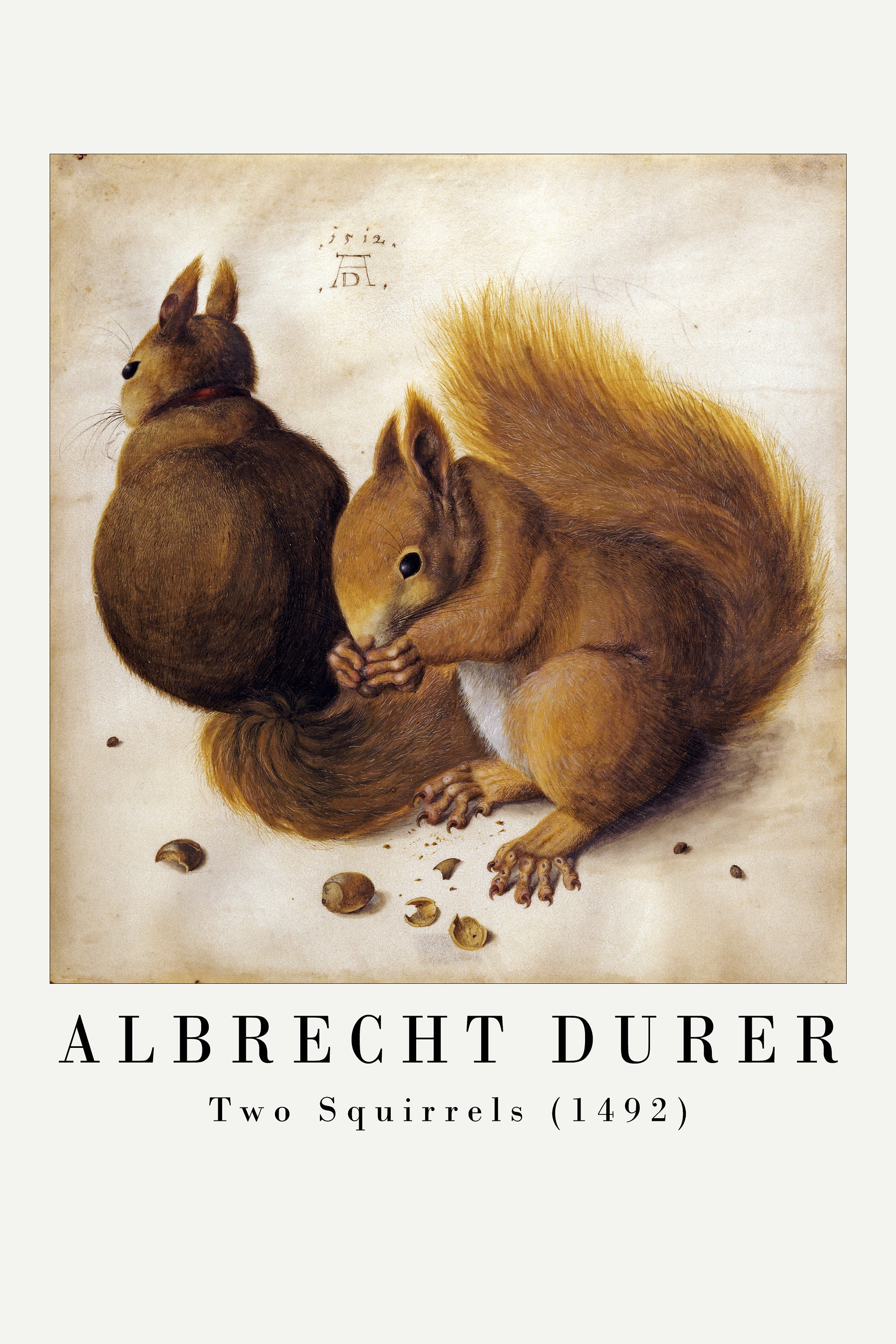 Albrecht Durer Animal Prints 3 Classic Paintings Drawing - Etsy