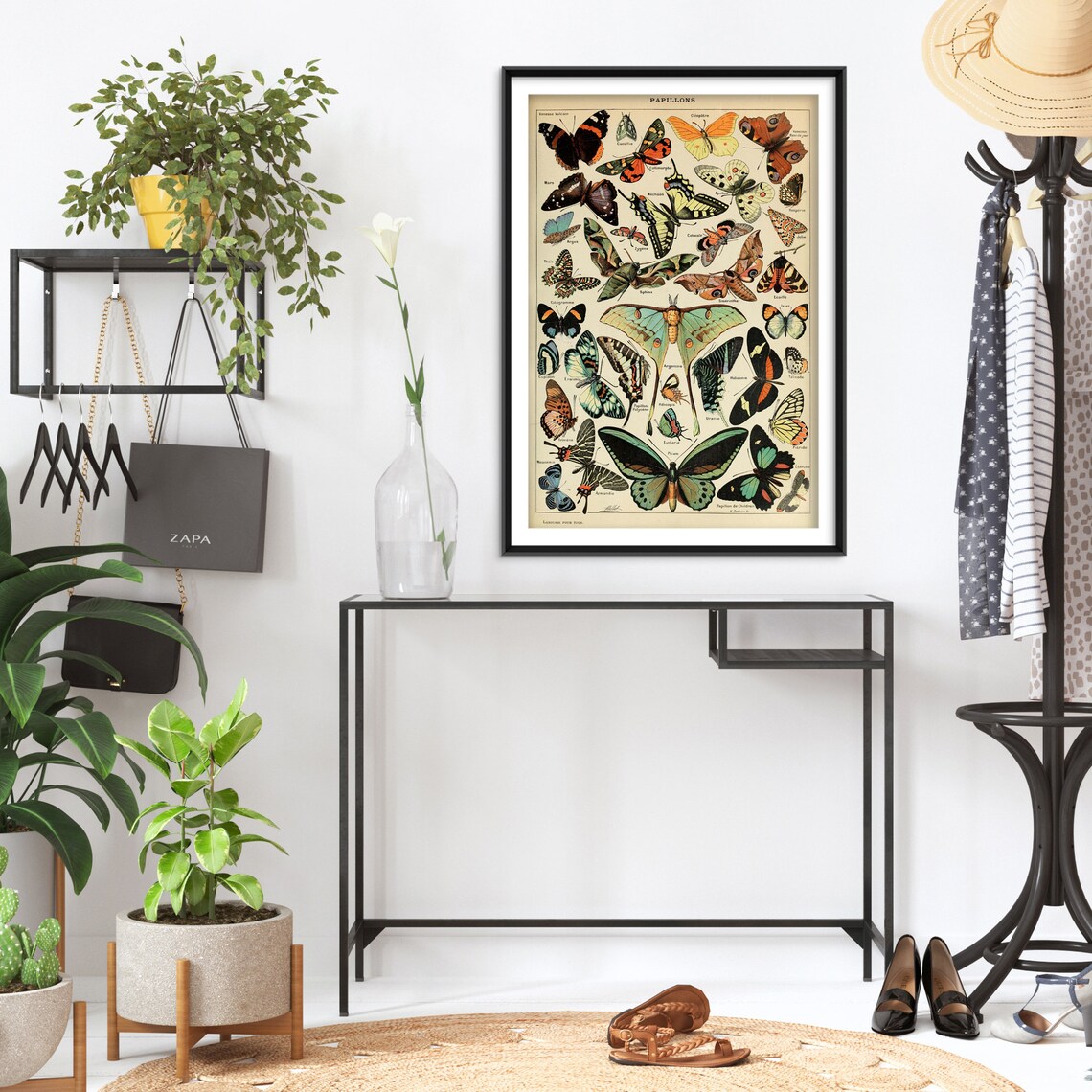 Adolphe Philippe Millot Art Print - Butterflies Illustration - Nature ...