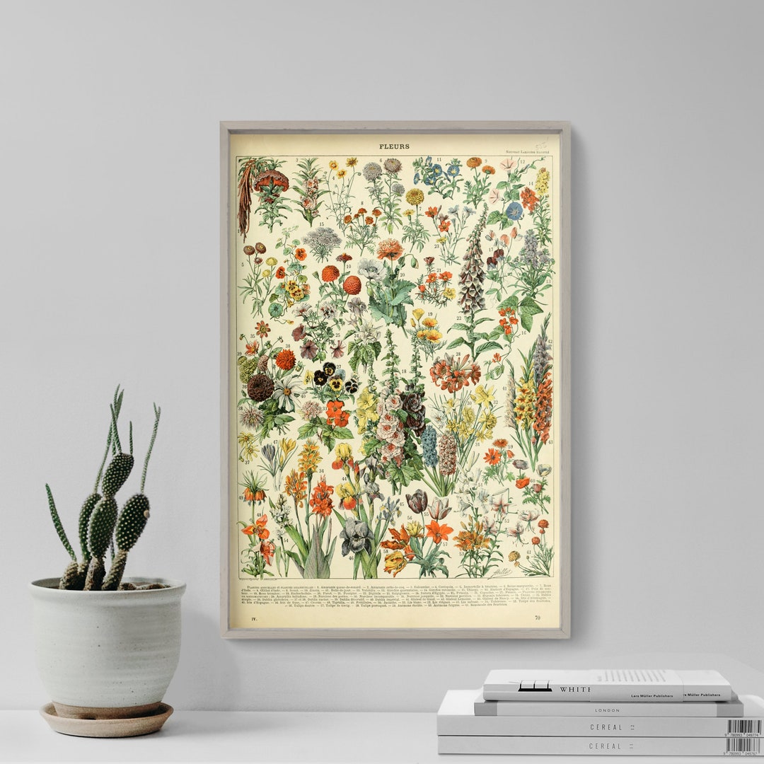 Adolphe Philippe Millot Art Print - Types of Flowers Illustration ...