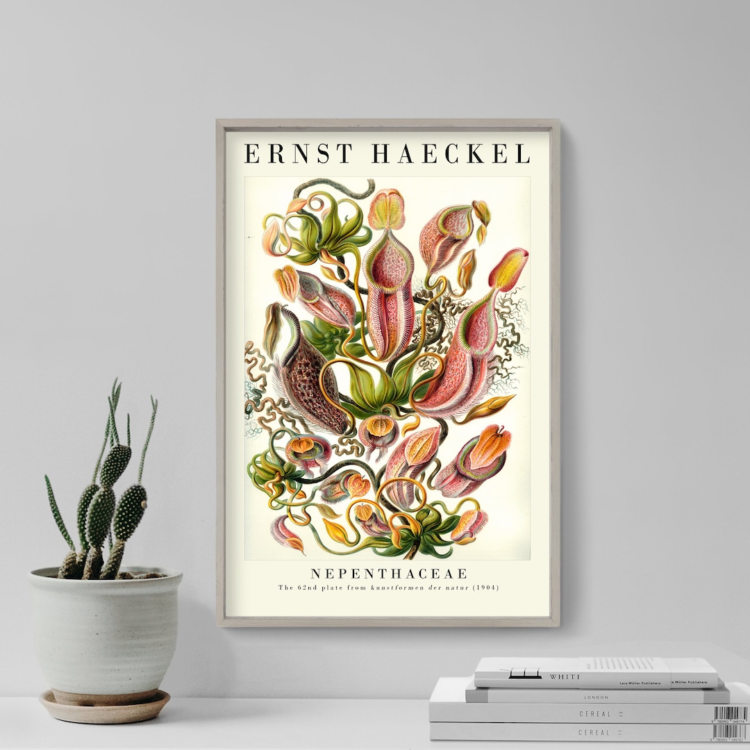 Ernst Haeckel Gallery Poster - Nepenthaceae - Plate 62 - Art Forms in ...