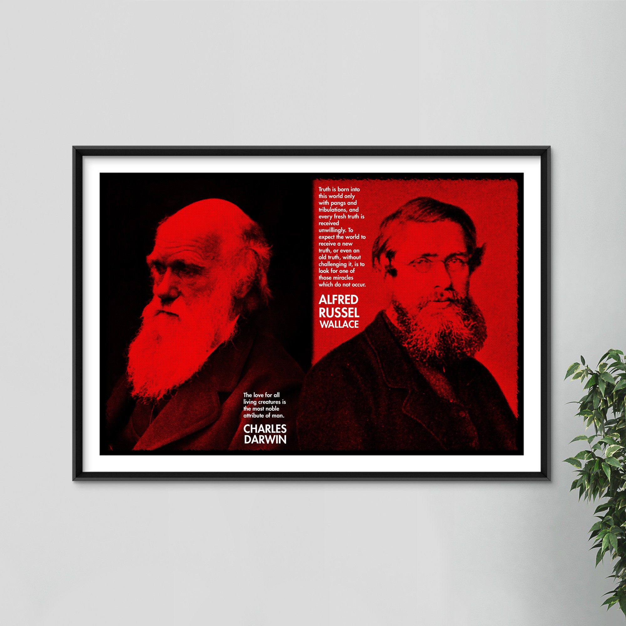 Charles Darwin y Alfred Russel Wallace original arte impresión | Etsy