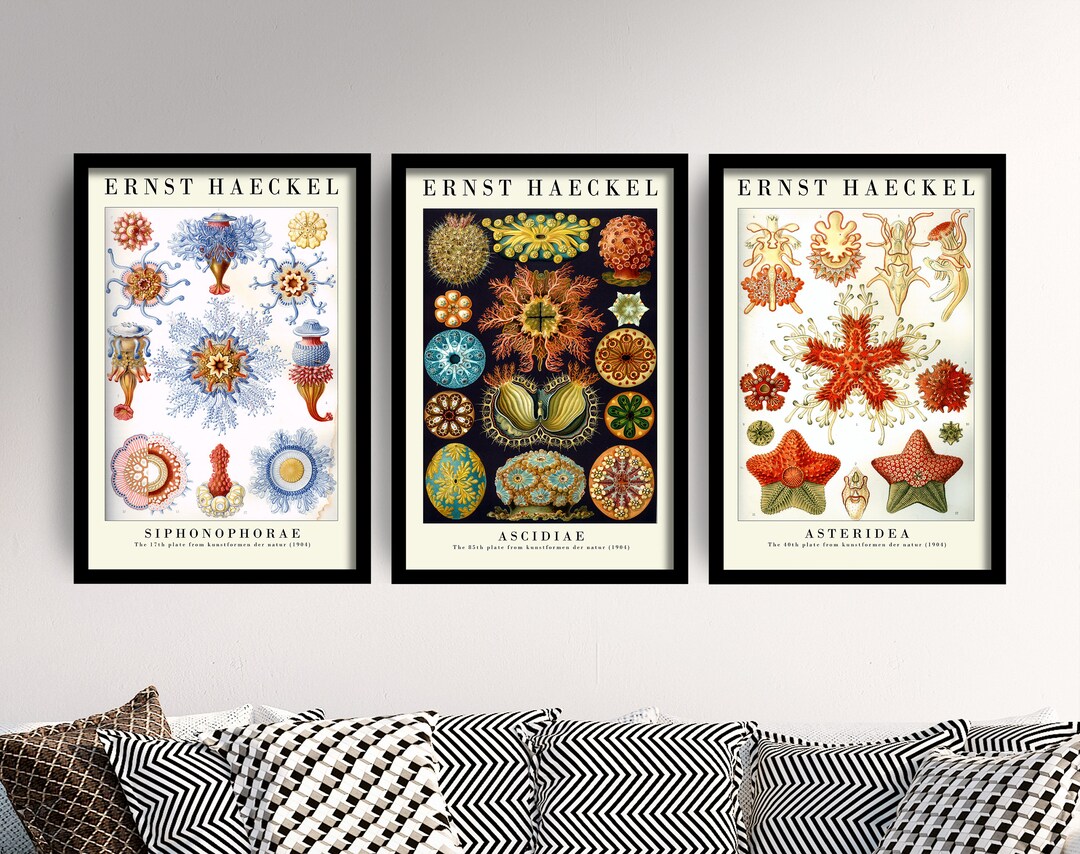 Set of Three Vintage Ernst Haeckel Autumn Prints - the Colourful ...