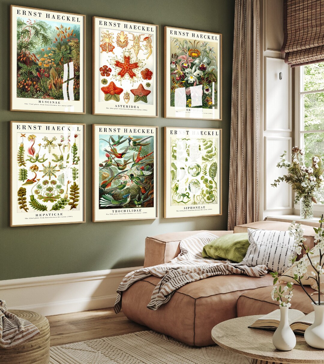 The Botanist Collection - Set of Six Vintage Ernst Haeckel Botanical ...