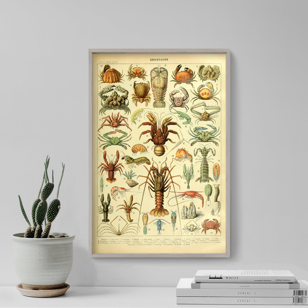 Adolphe Philippe Millot Art Print - Crustaceans Illustration 4 - Nature ...