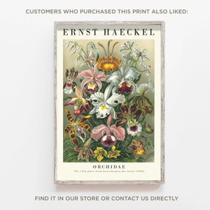 Ernst Haeckel Gallery Poster - Muscinae - Plate 72 - Art Forms in ...