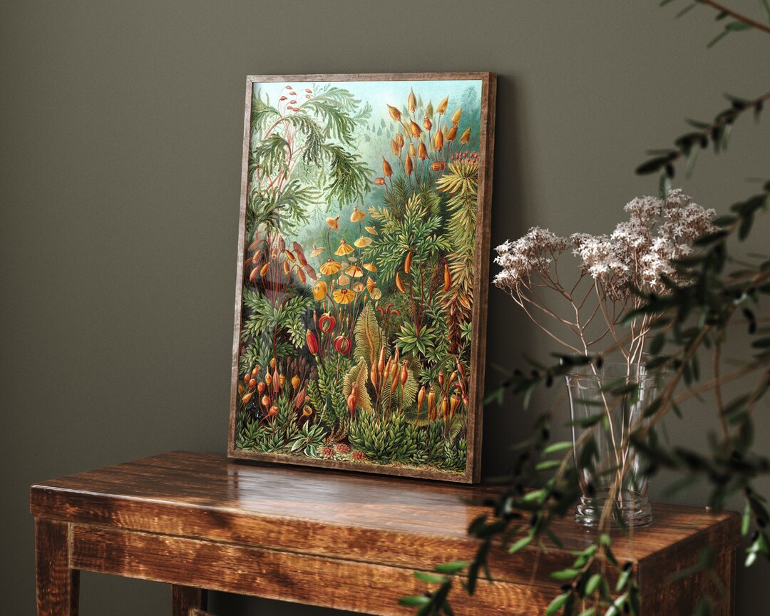 Ernst Haeckel Gallery Poster - Muscinae - Plate 72 - Art Forms in ...