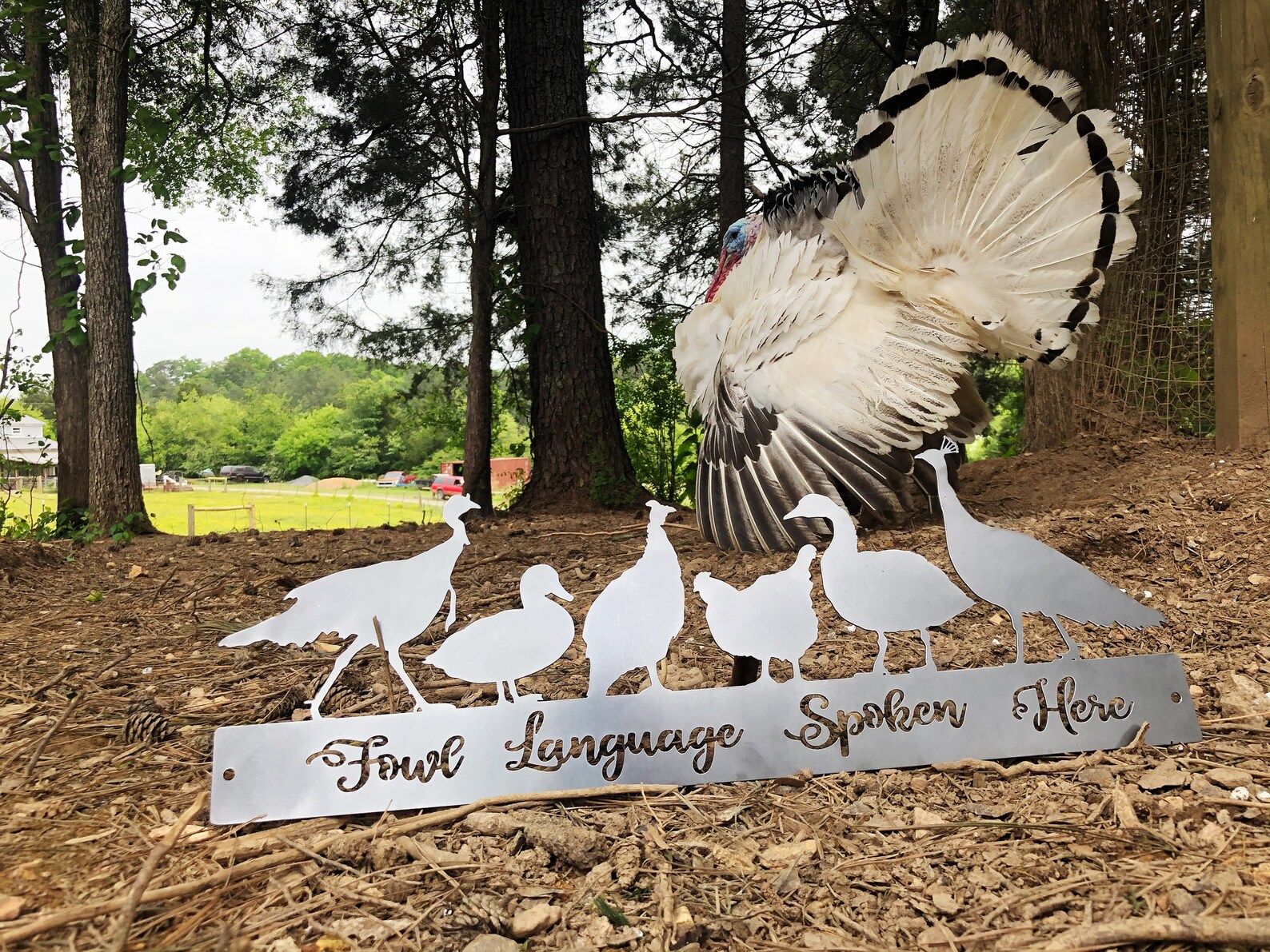 Fowl Language Spoken Here Farm Sign Made From Recycled Steel Metal ...
