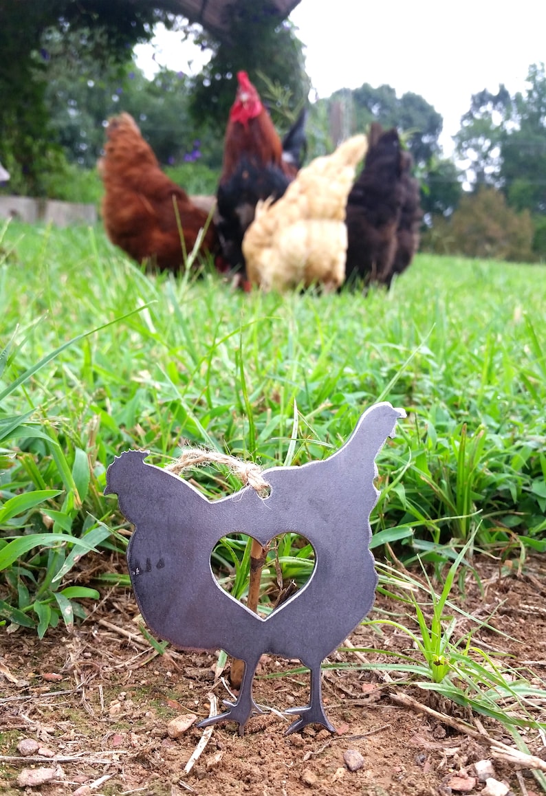 Chicken Hen Ornament with Heart made from Recycled Raw Steel | Etsy