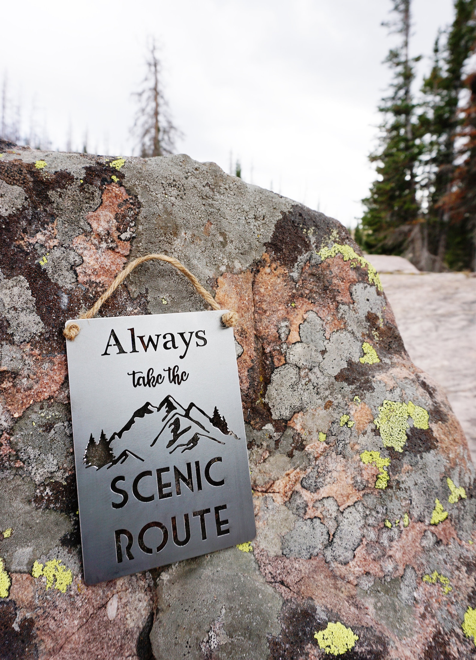 Always Take the Scenic Route 5 x 7 Metal Sign made | Etsy