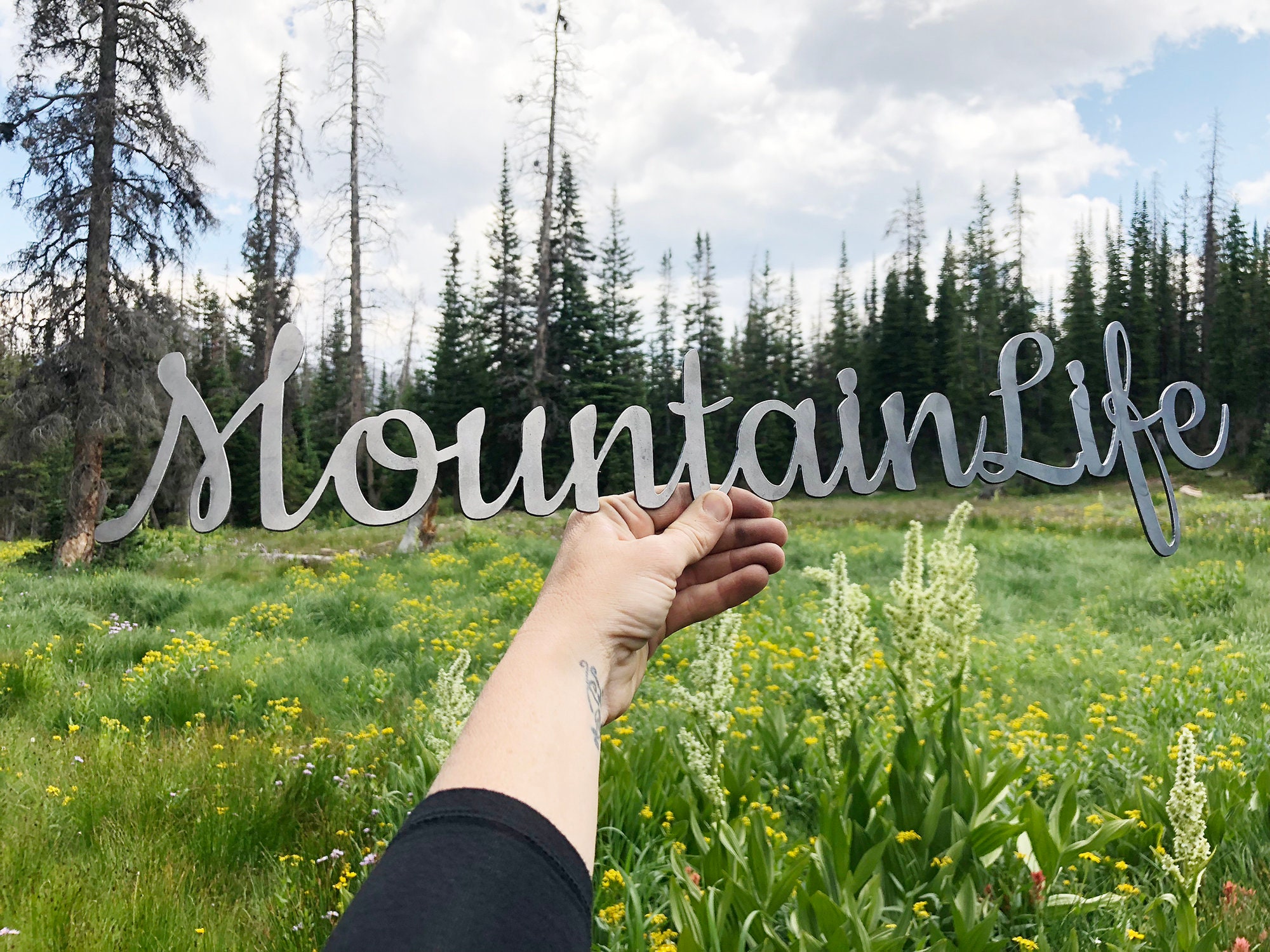 Mountain Life 23" Raw Steel Cursive Word Art Sign Metal Adventure ...