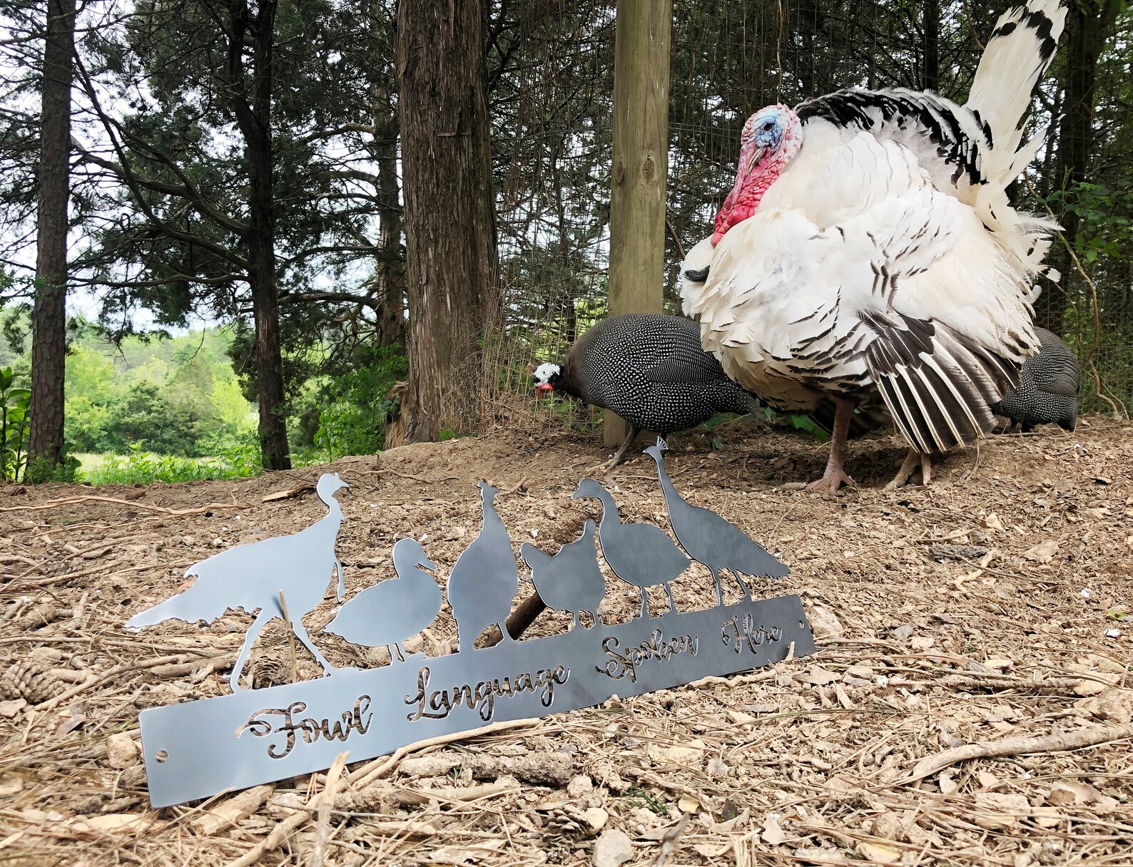 Fowl Language Spoken Here Farm Sign Made From Recycled Steel Metal ...