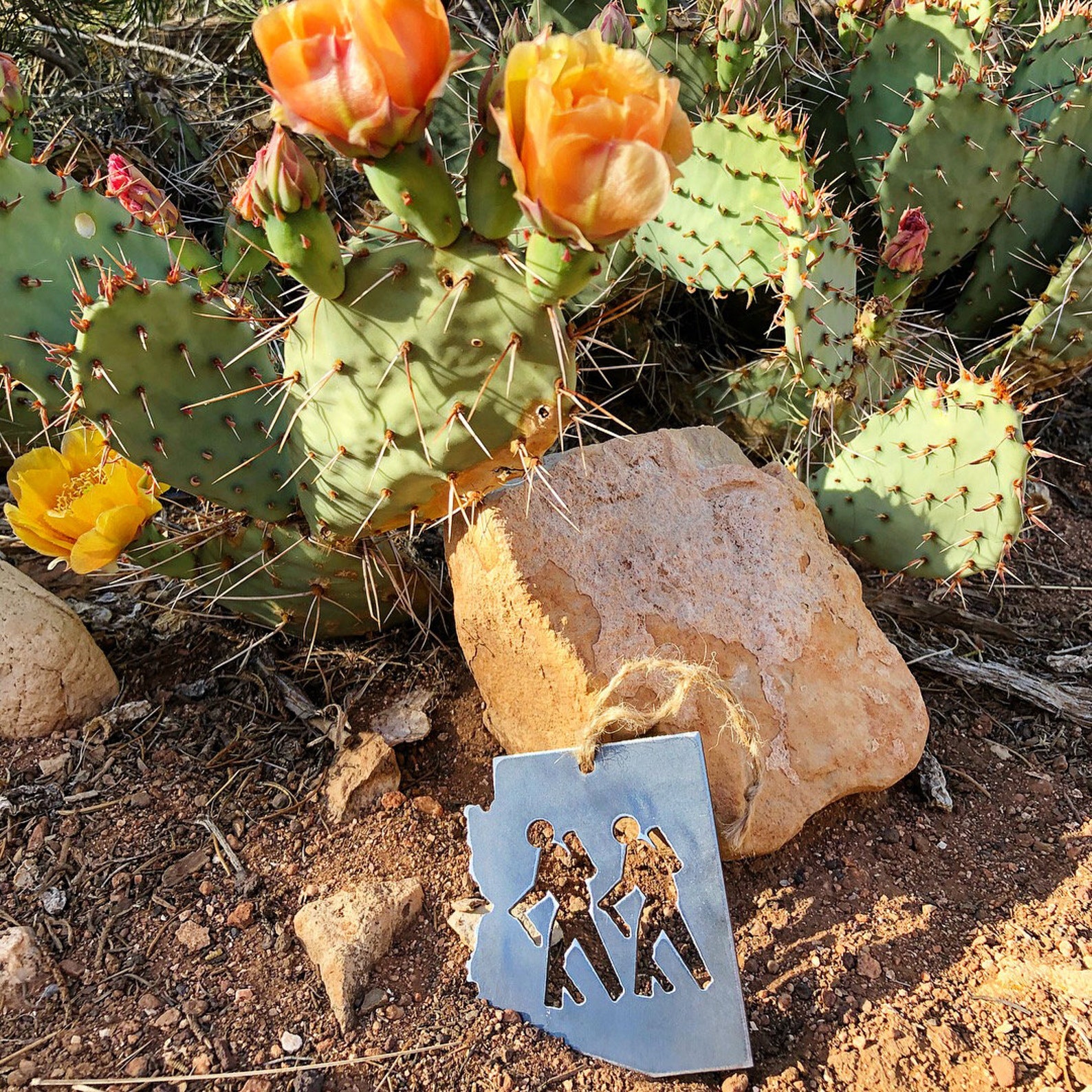 Arizona Hikers State Ornament Made From Raw Steel Anniversary Gift ...