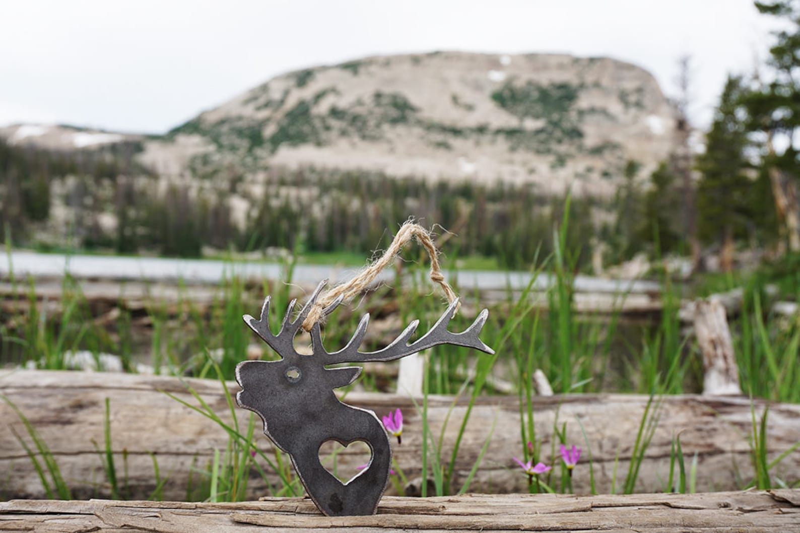 Elk Metal Ornament Made From Raw Steel - Etsy