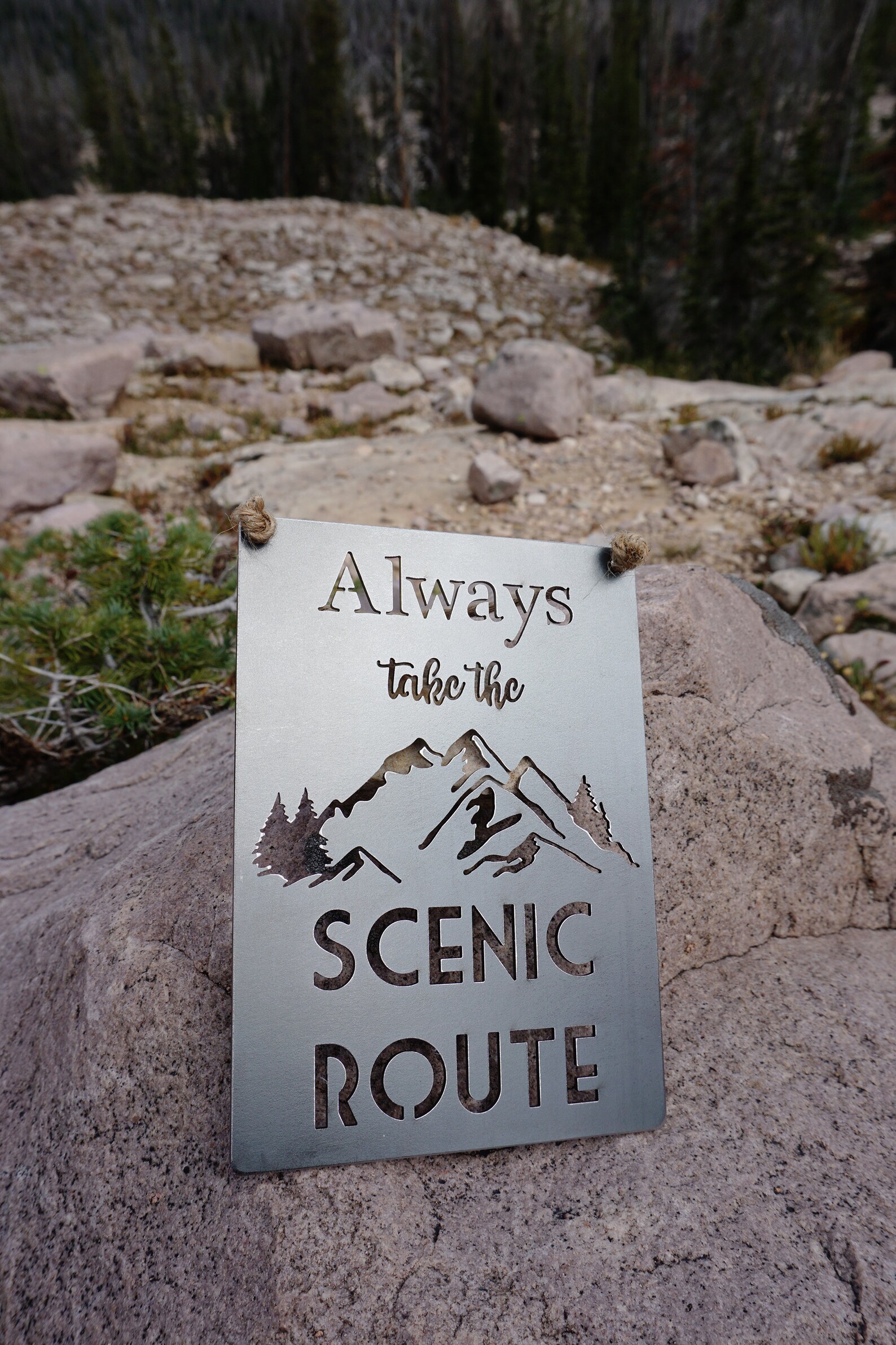 Always Take the Scenic Route 5 x 7 Metal Sign made | Etsy