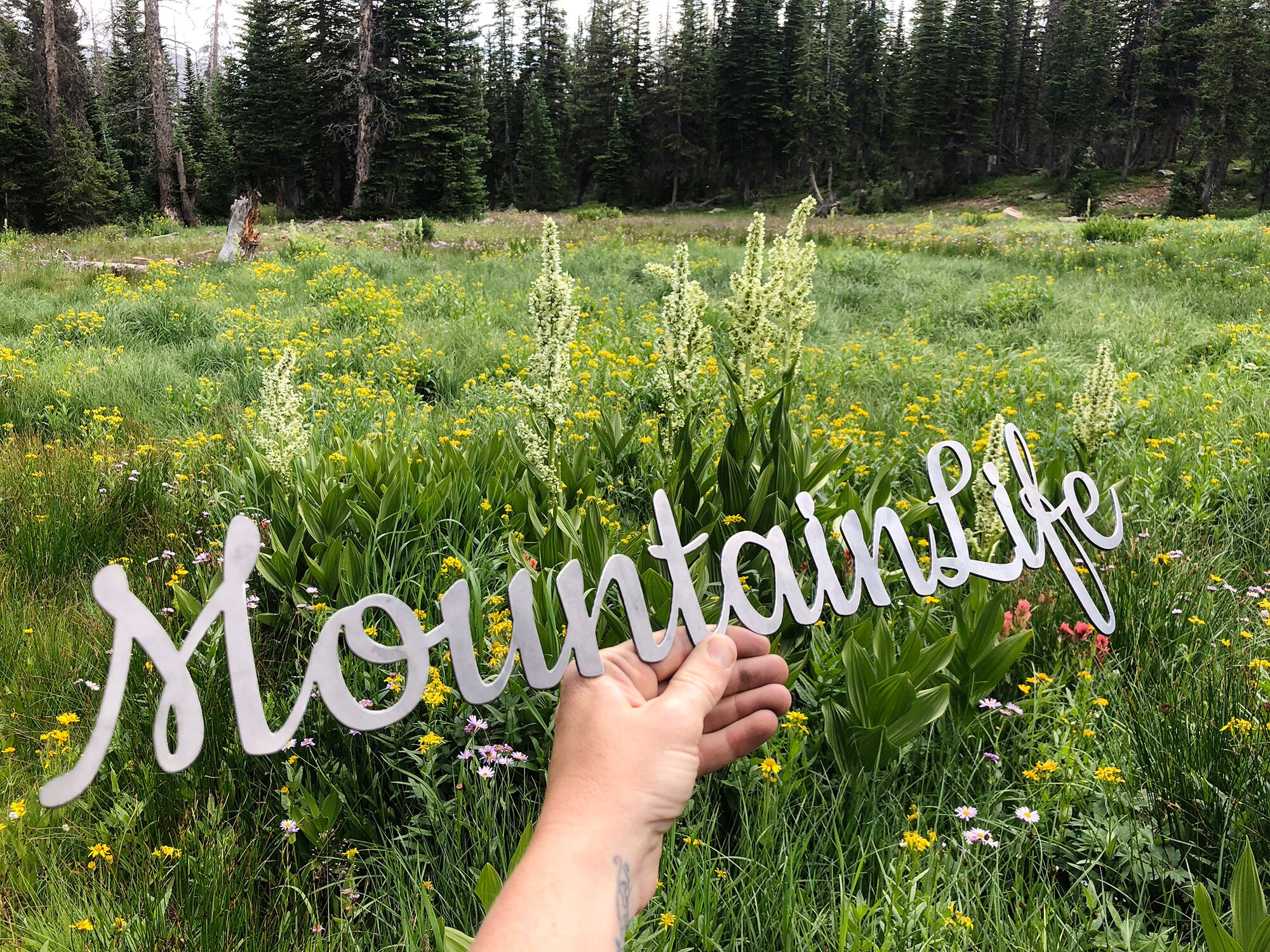 Mountain Life 23" Raw Steel Cursive Word Art Sign Metal Adventure ...