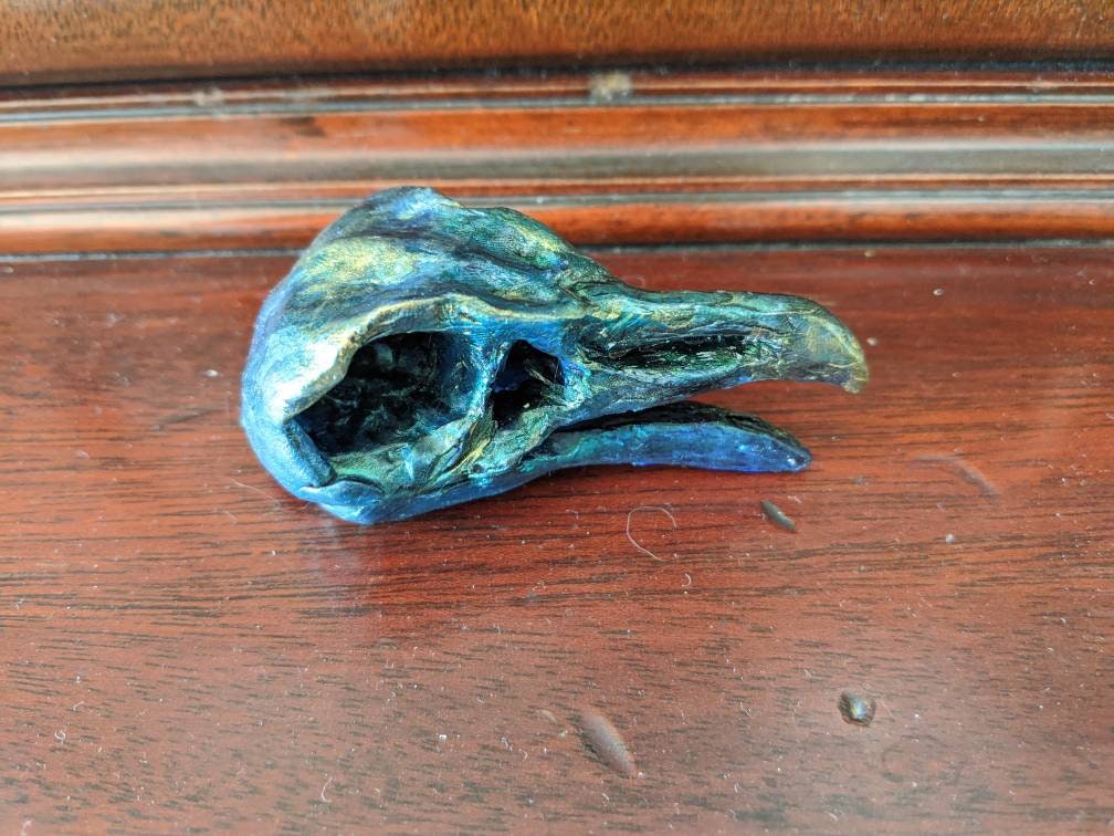 Ocean Seagull Skull Small Hand-sculpted and Painted Clay - Etsy