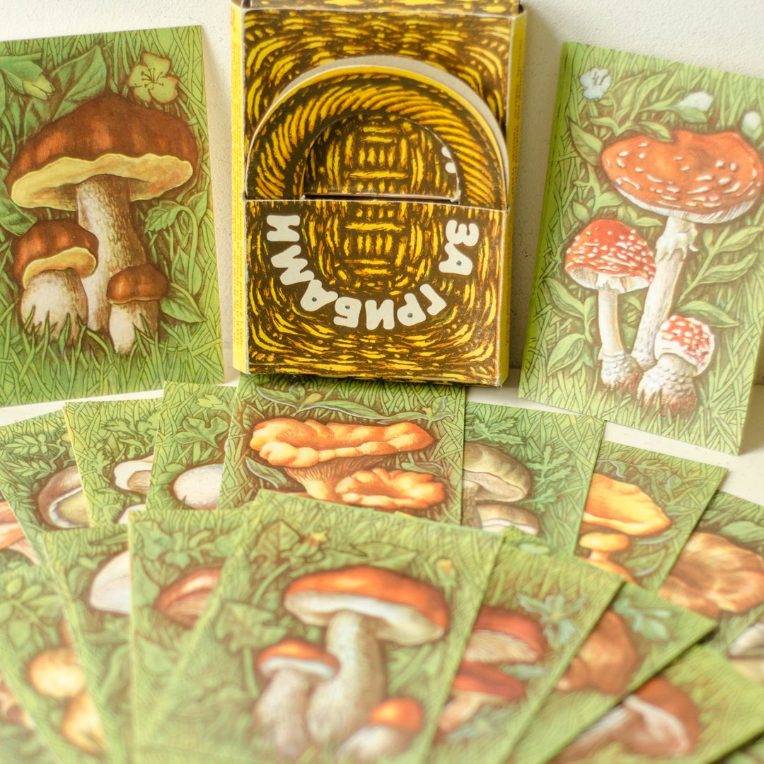 Postcard Pack MUSHROOM HUNTING, Botanical Print Set, Vintage Mushroom ...