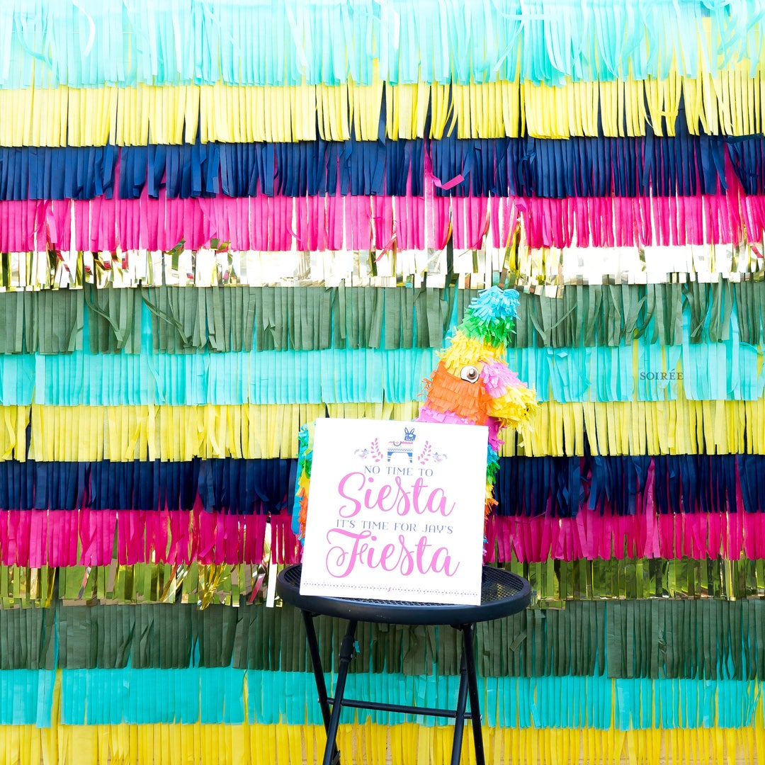 DIY CUSTOM FIESTA Fringe Backdrop | Black Rose Gold Paper Photo, Taco ...