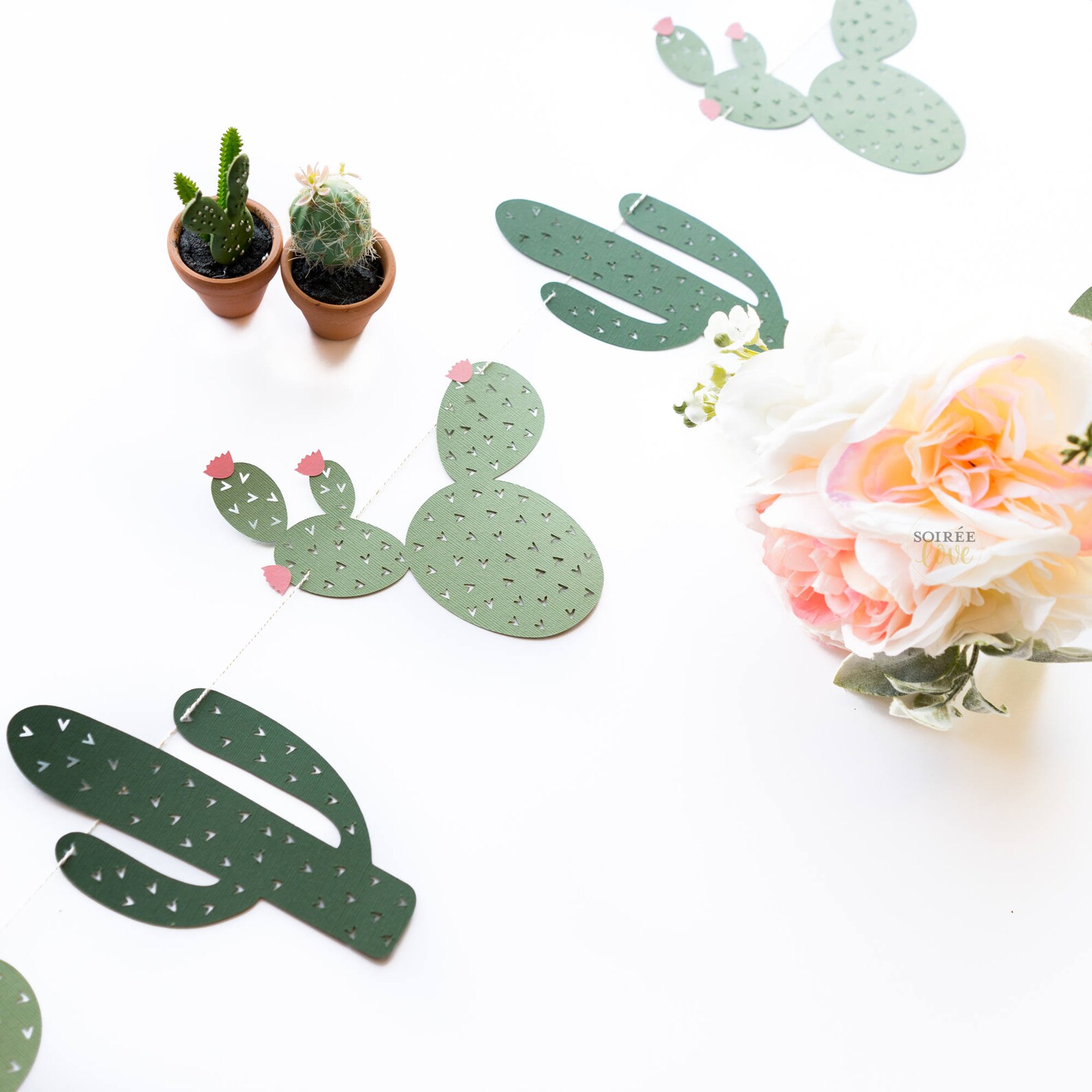 Cactus Fiesta Balloon Party Box | Paper Tassel Garland, Banner, Cinco ...