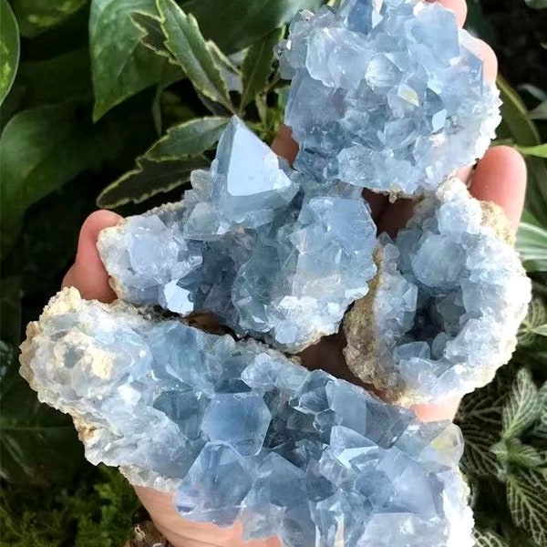 Celestite - Etsy