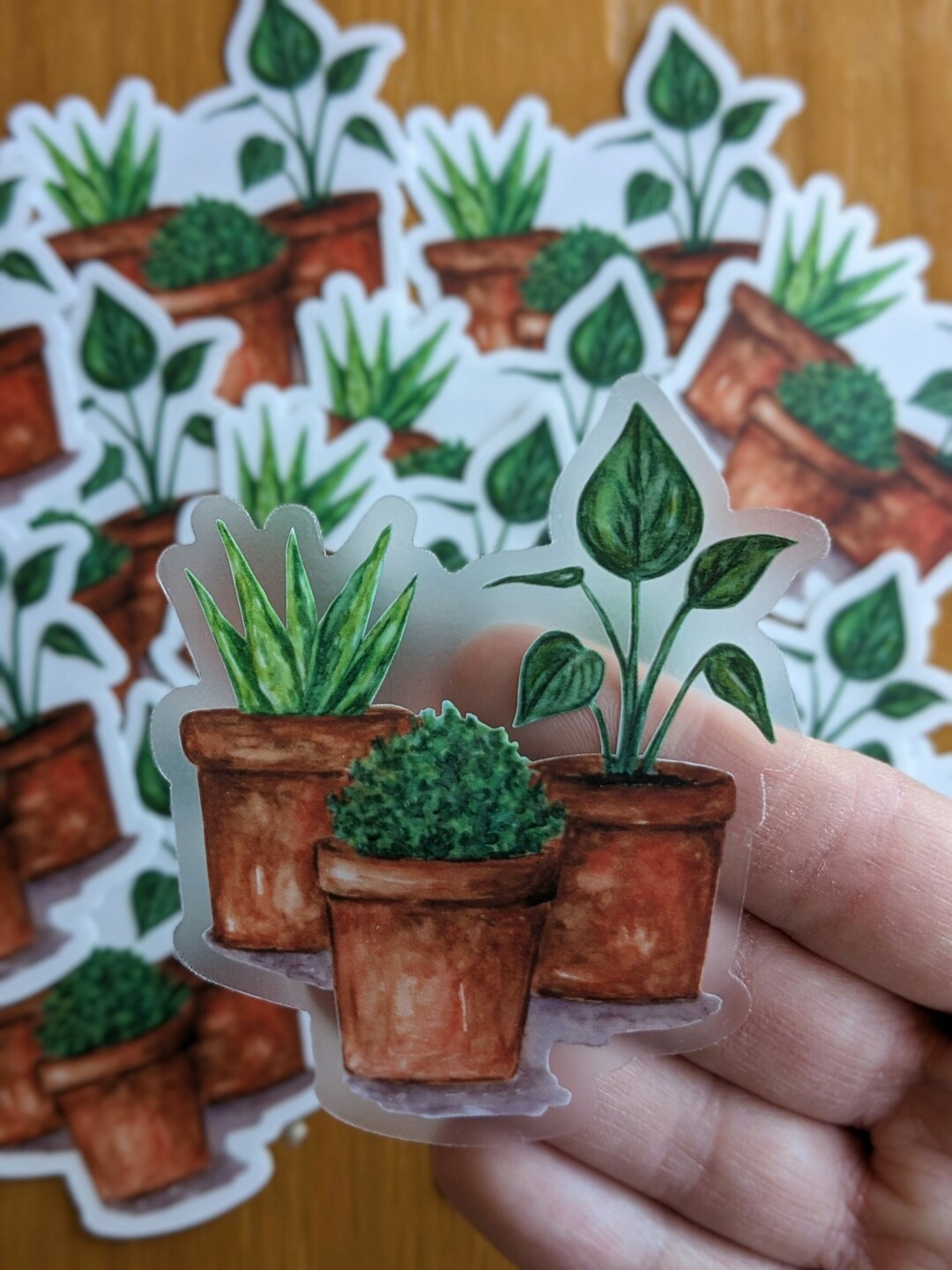 Clear Vinyl Plant Sticker - Water Bottle - Laptop - Phone - Decal Plant ...