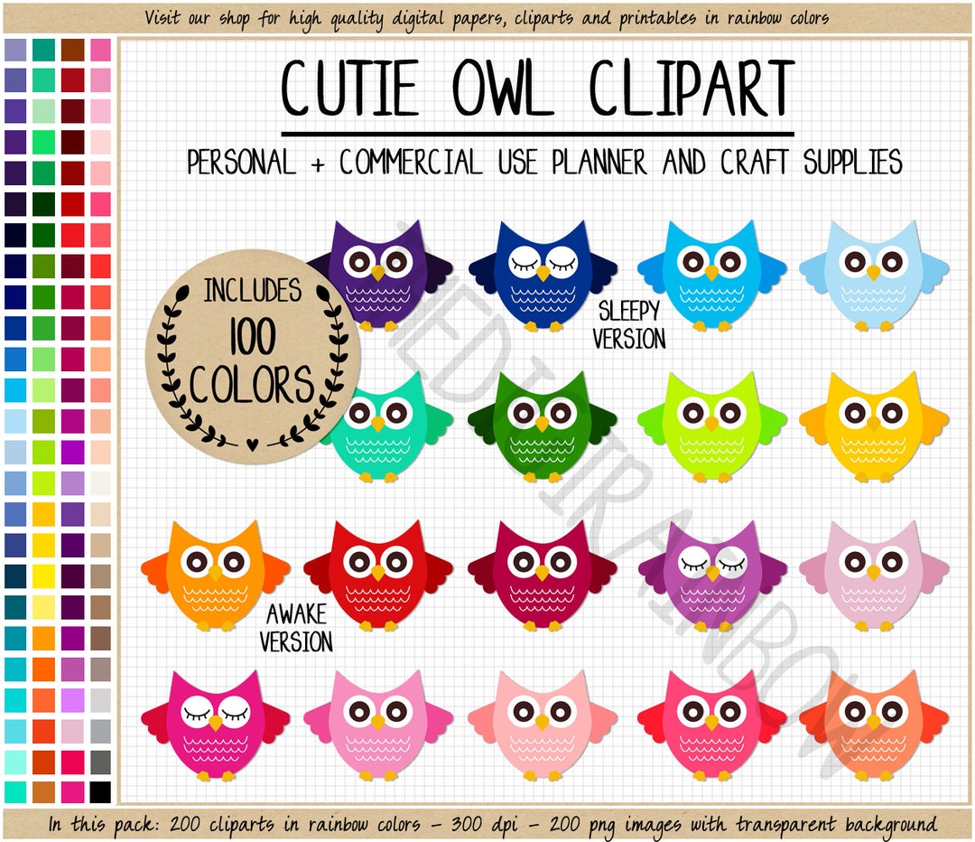 SALE 200 Owl Clipart Rainbow Owl Sticker Woodland Clipart Owl Digital ...
