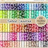 Glitter Animal Print Digital Wallpaper, Zebra, Leopard, Tiger and ...