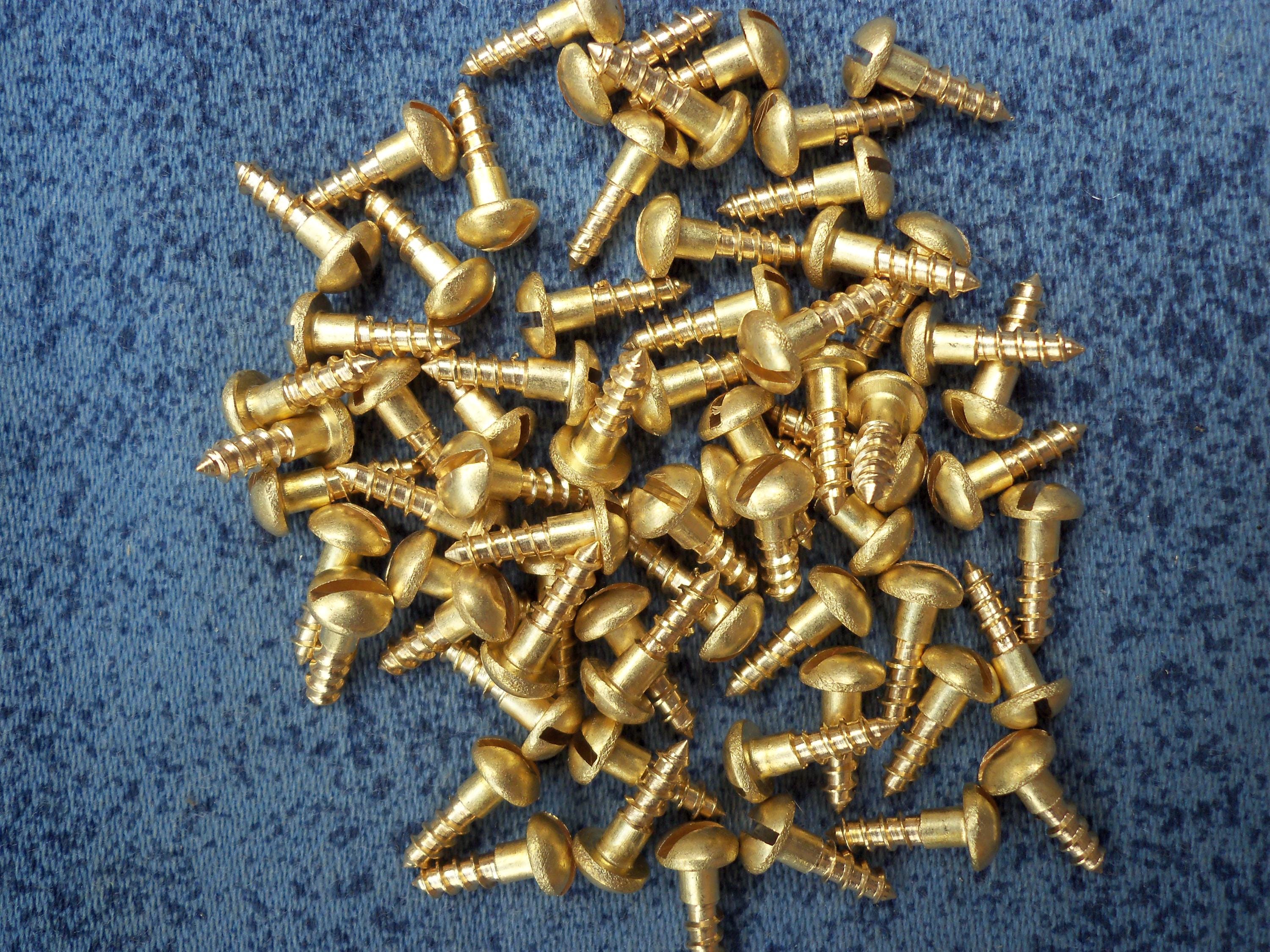 Miniature Hardware Parts Pack of 100 Small Tapping Wood Screws Color ...