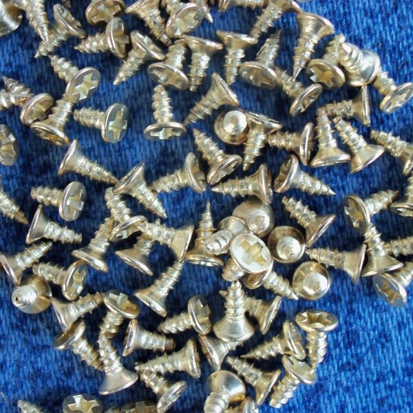 Miniature Wood Screws - Etsy