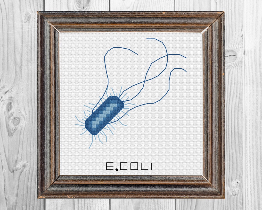 E Coli Cross Stitch PDF Pattern - Etsy