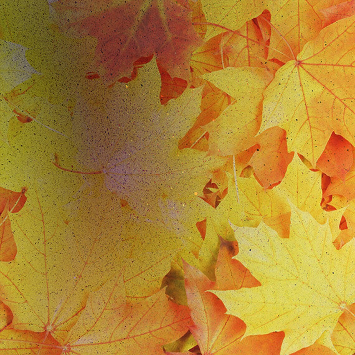 Fall Glitter Digital Papers fall Patterns Fall - Etsy