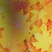 Fall Glitter Digital Papers "fall Patterns" * Fall Paper, Fall Patterns ...