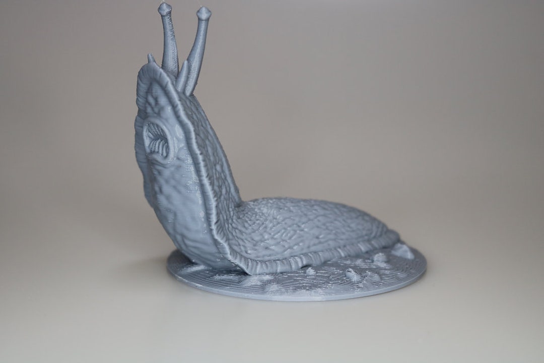 Giant Slug (bigiature) | RPG | Dungeons and Dragons | D&D | Dragon Lock ...