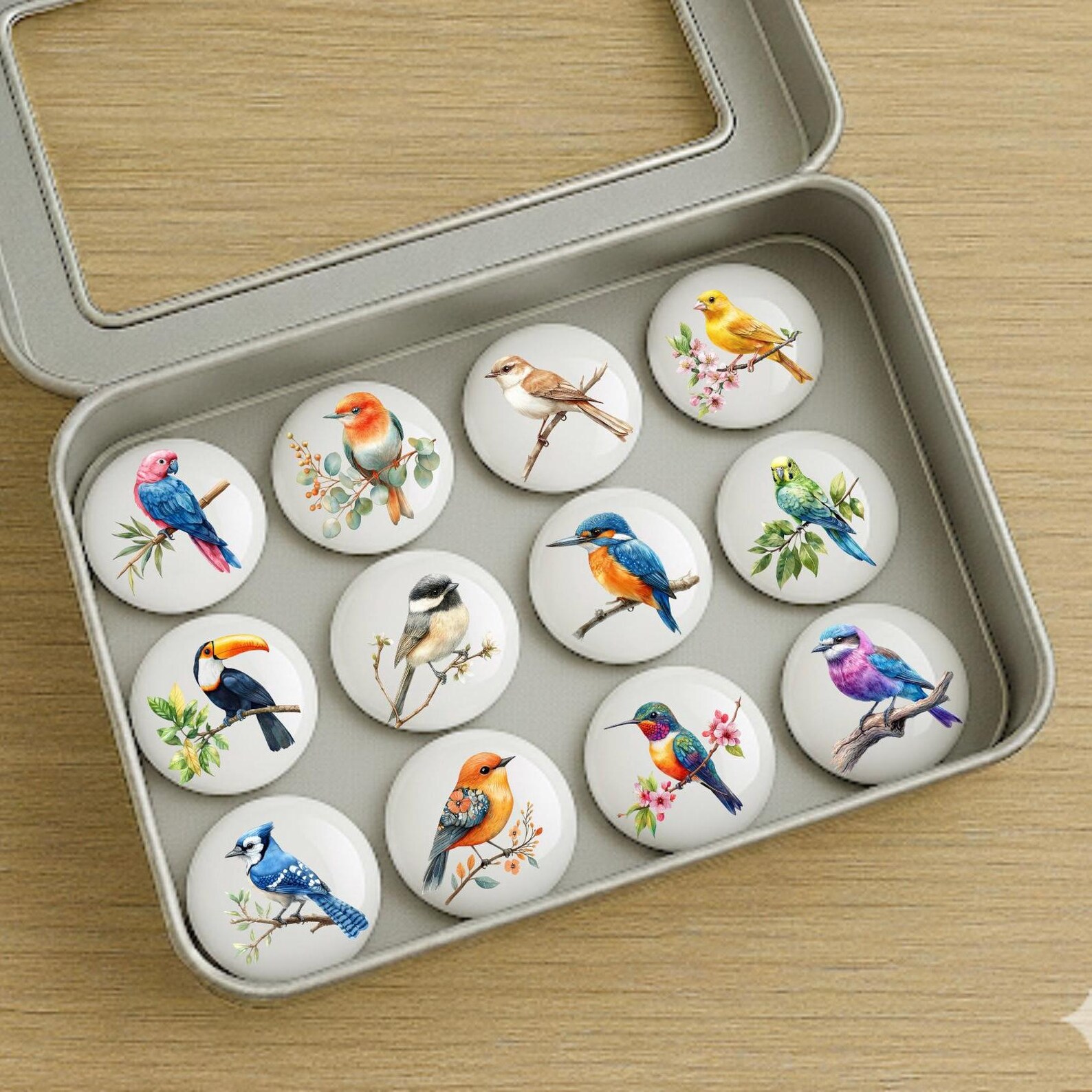 Colorful Birds Glass Magnet Set of 12 - 1 Inch Magnets | Gift Tin Box ...