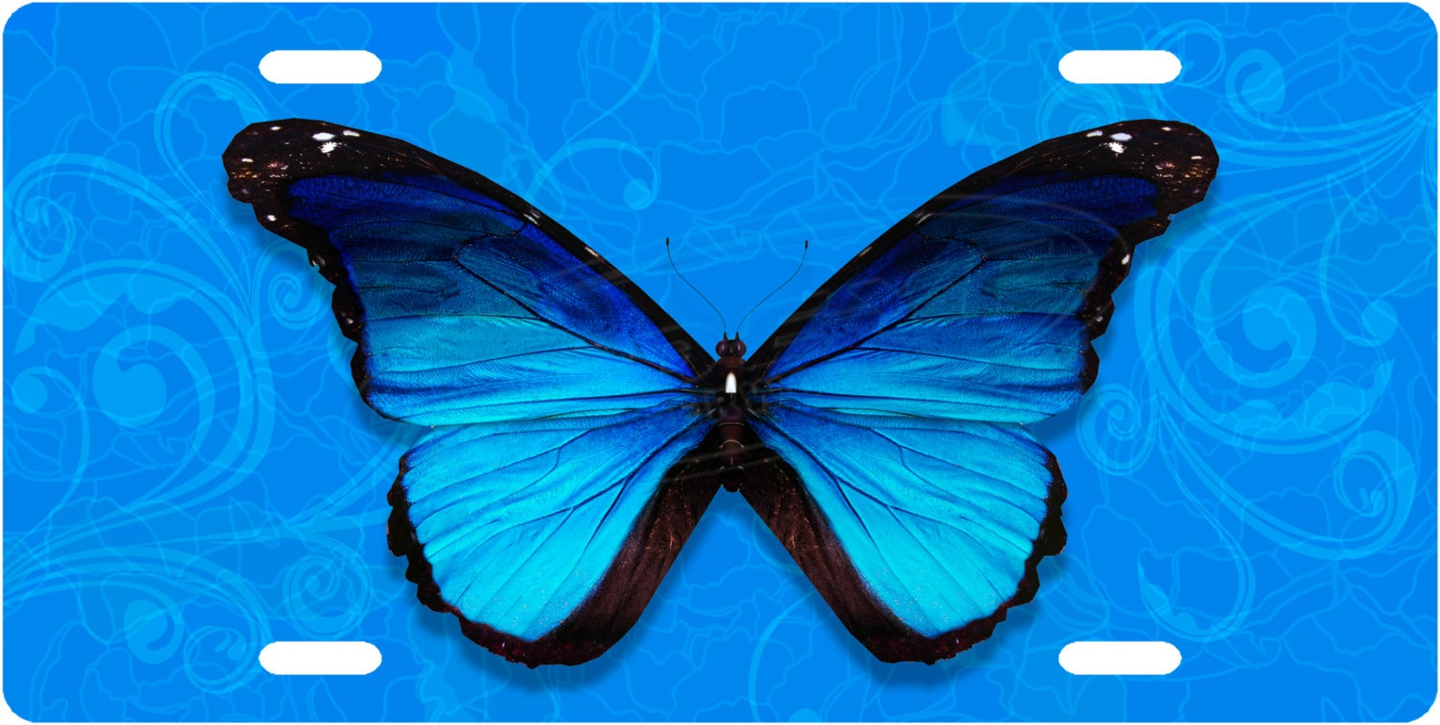 Blue Butterfly License Plate Tag - Etsy