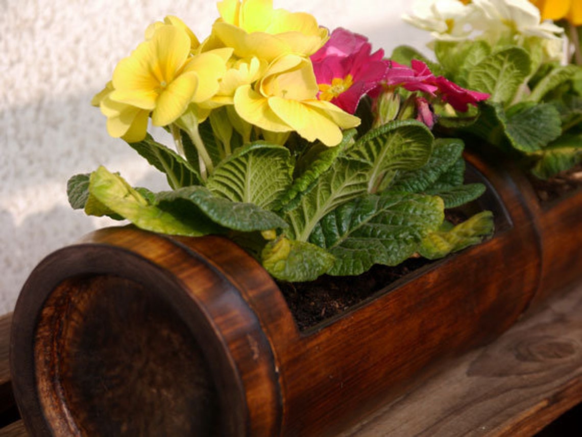 Double Plant Pot Wood Plant Pot Succulent Planter Indoor - Etsy